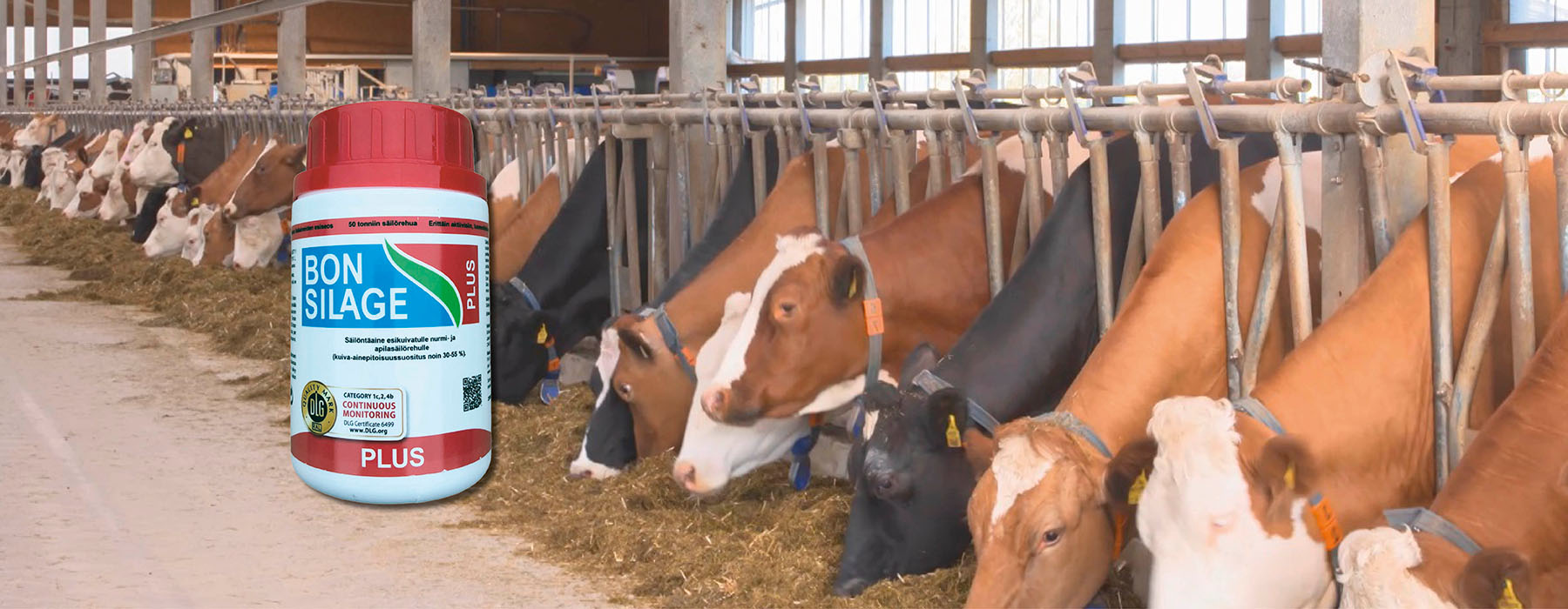 Bonsilage Plus- Kuivalle rehulle - Eurotrading Oy