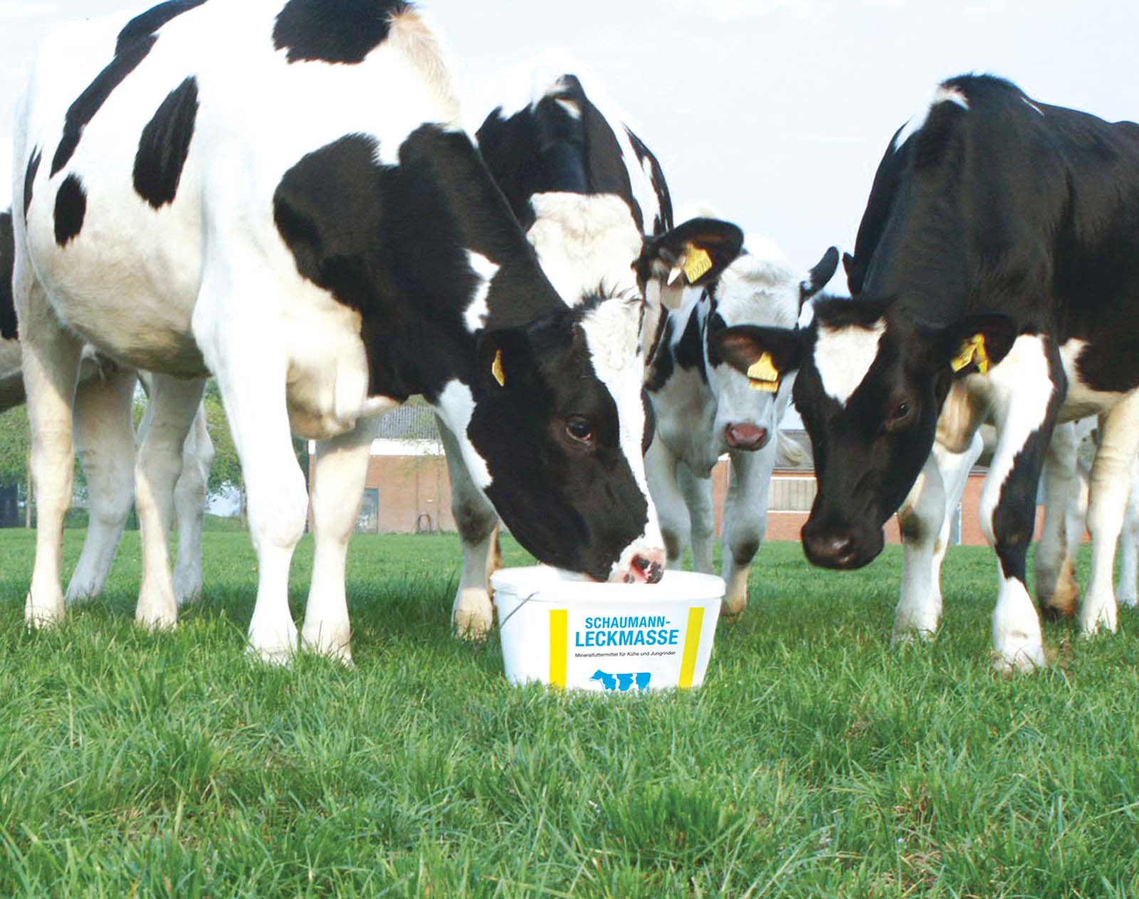 Nuolukivet ja vedinhoito - Eurotrading Oy