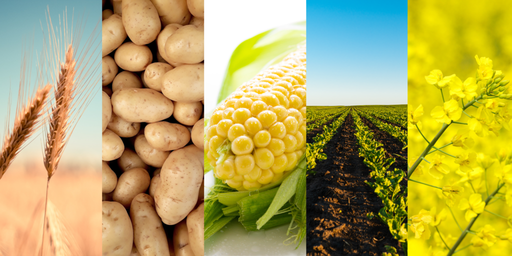 Boncrop flow - Eurotrading Oy